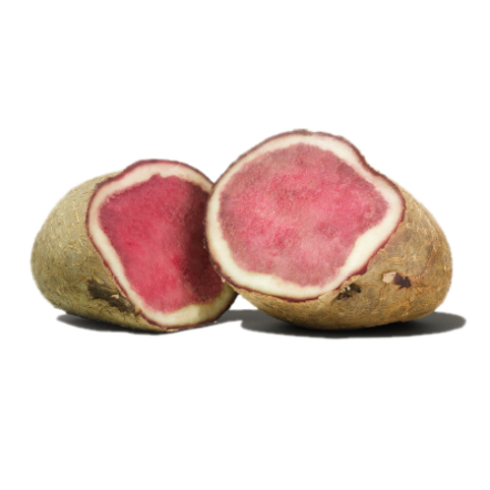 The World in Seven Objects - Beyond