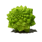 The World in Seven Objects - Beyond