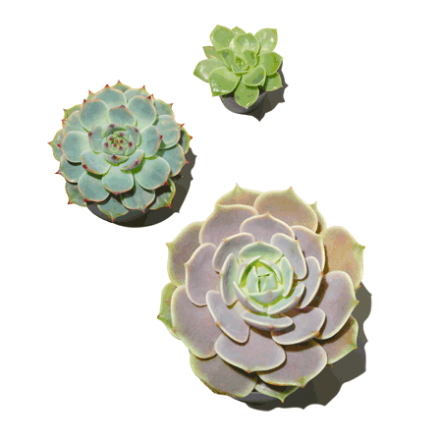 The World in Seven Objects - Beyond